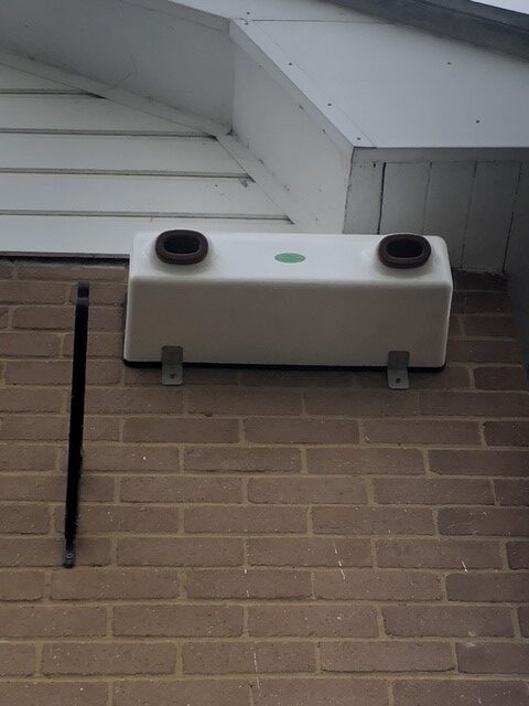 Swift boxes have been installed in City Council buildings to help ...